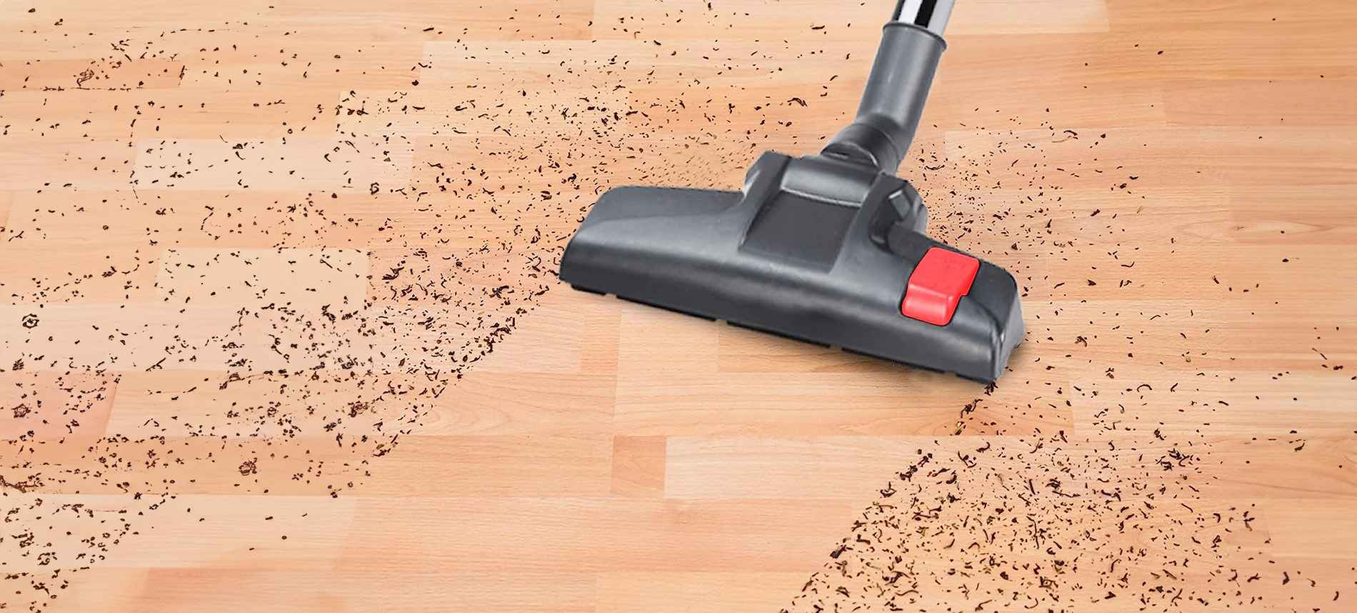 2000W Vacuum Cleaner Models: 5 Preferred Picks – Agaro